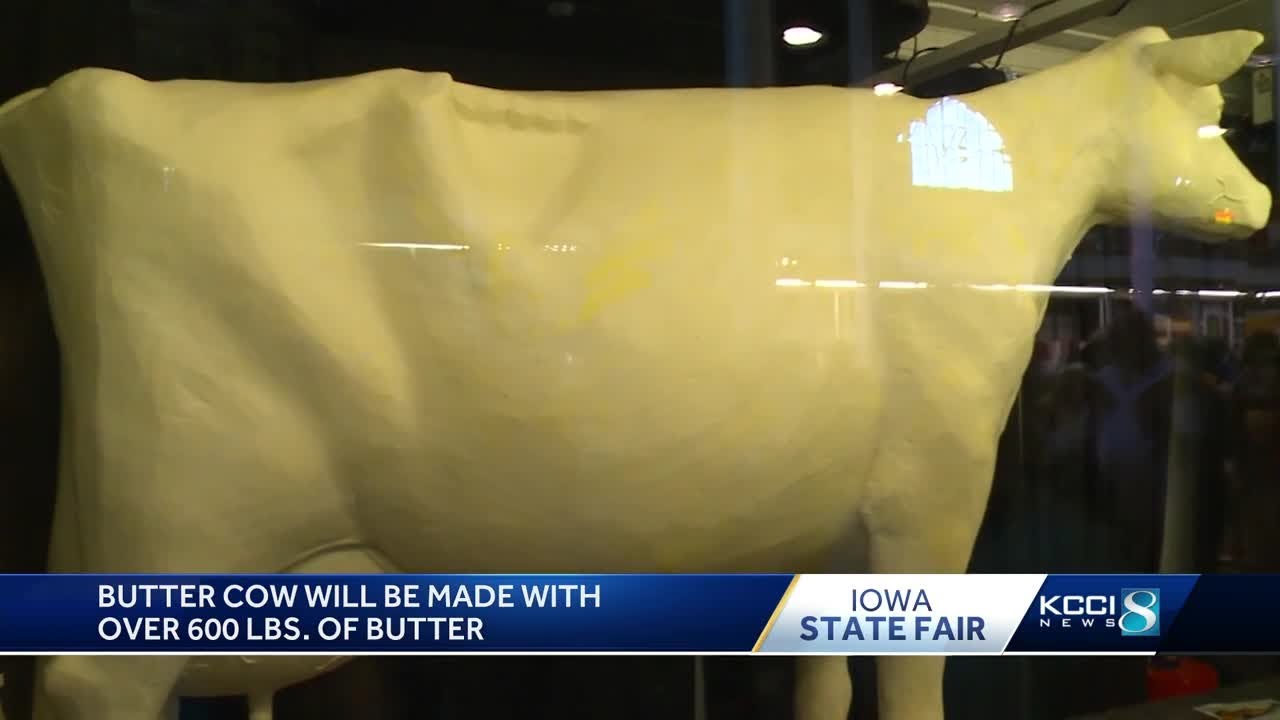Iowa State Fair butter cow will be made with over 600 lbs of butter ...