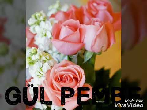 BARIŞ MANCO -GÜLPEMBE