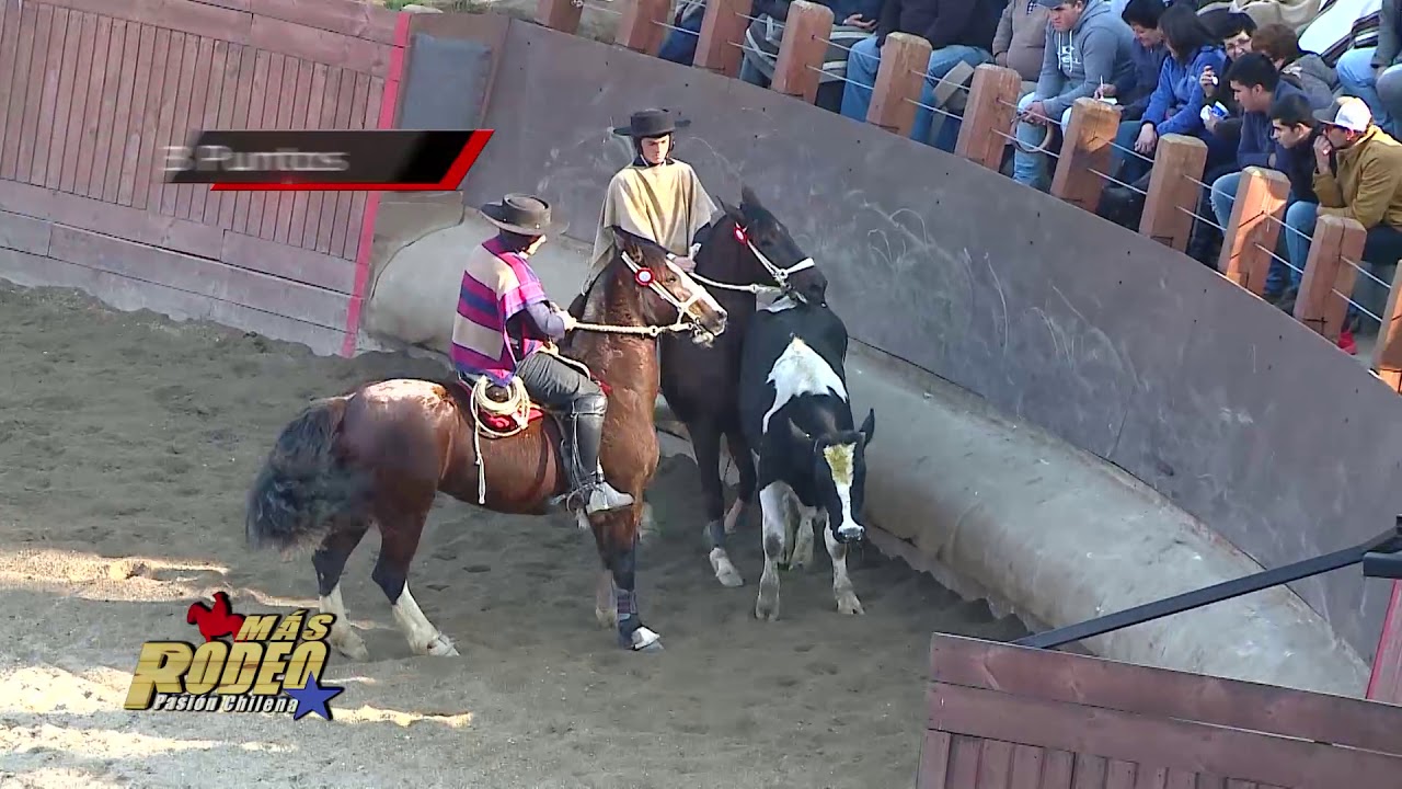 Programa Más Rodeo Club San Ramón - YouTube