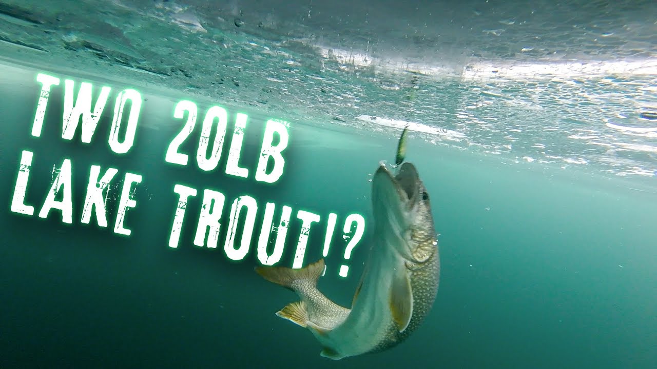 Great Lakes MONSTERS - EPIC Underwater Trout Footage - YouTube