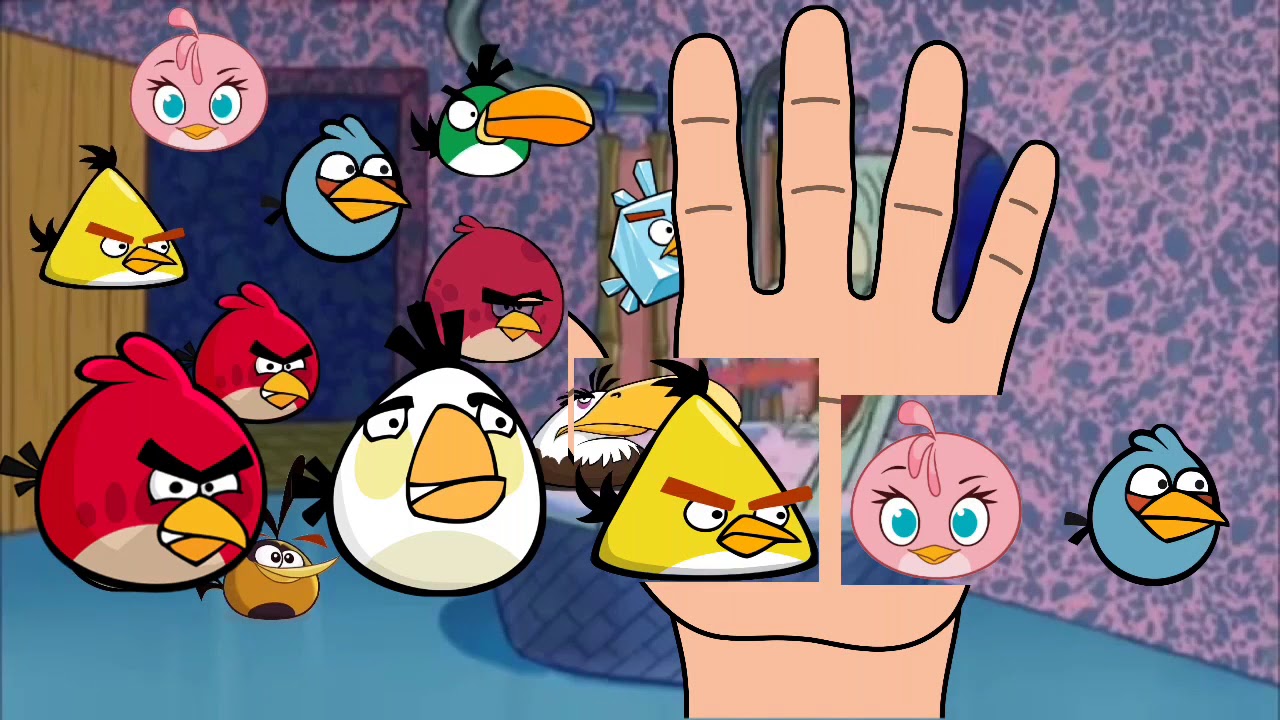 Angry birds finger family read description - YouTube