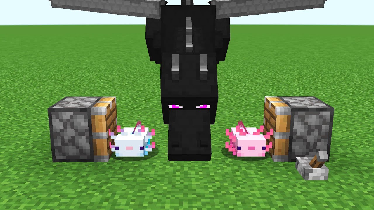 ender dragon + axolotls = ??? - YouTube