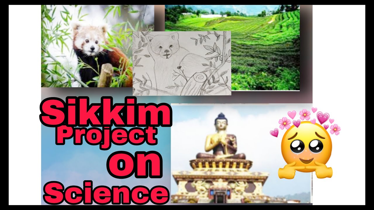 Sikkim project on Science. Science project on Sikkim in Hindi language ...