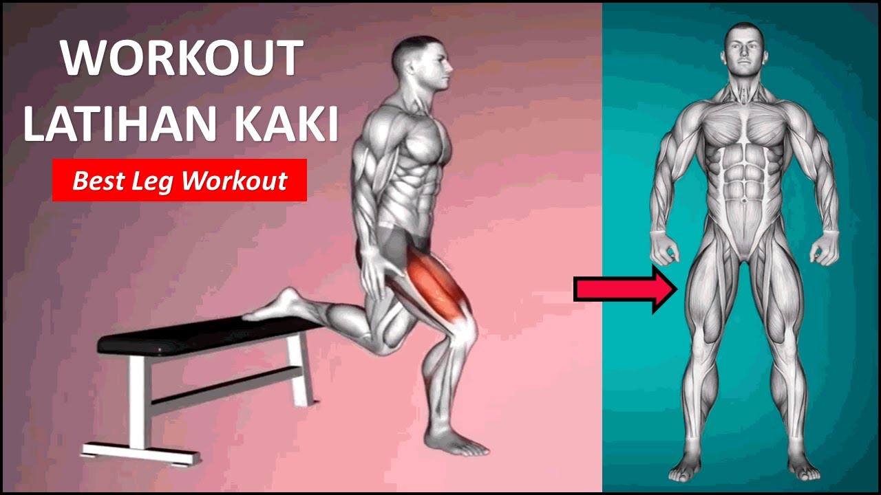 Workout Latihan Kaki Terbaik untuk Meningkatkan Kekuatan Kaki - YouTube