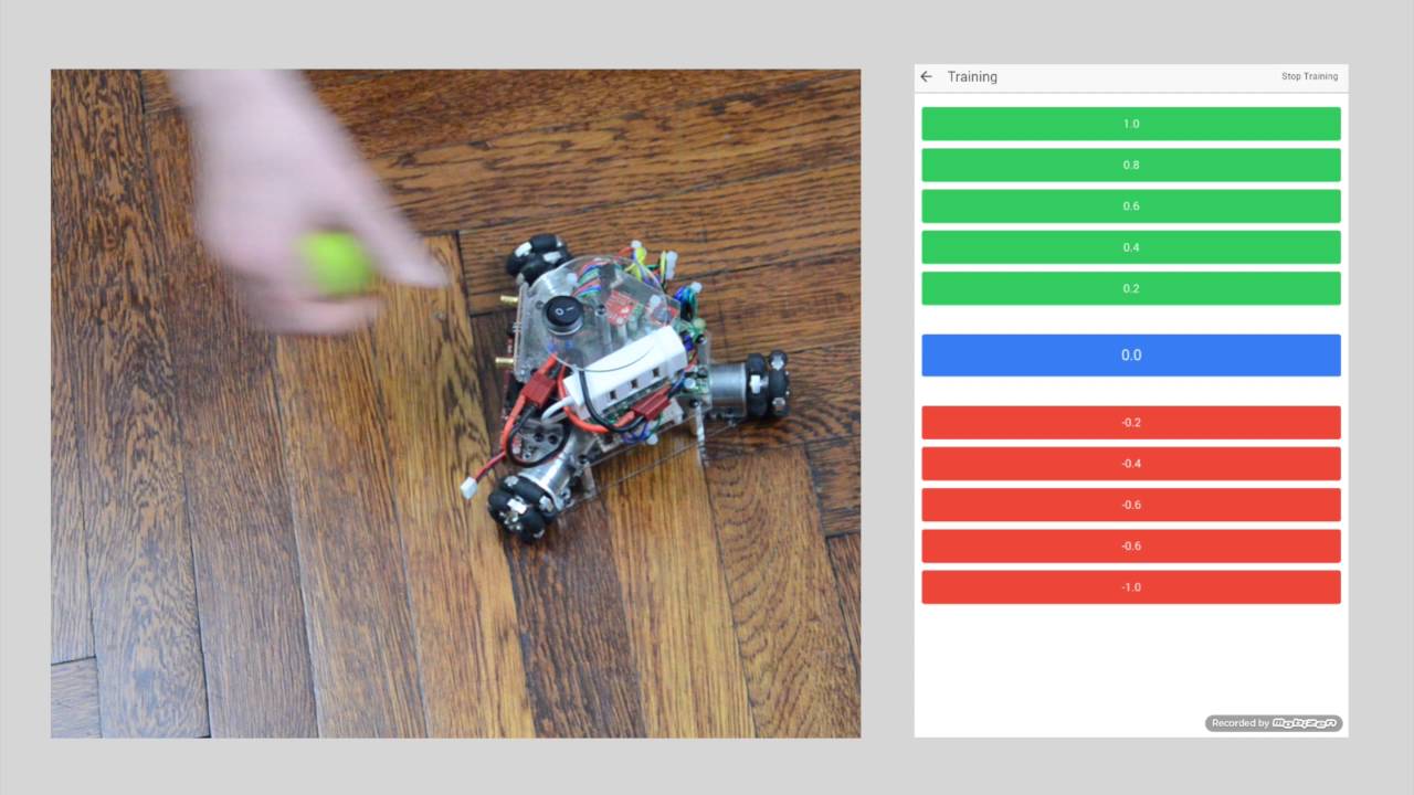 Fido: A Universal Robot AI that Learns - YouTube