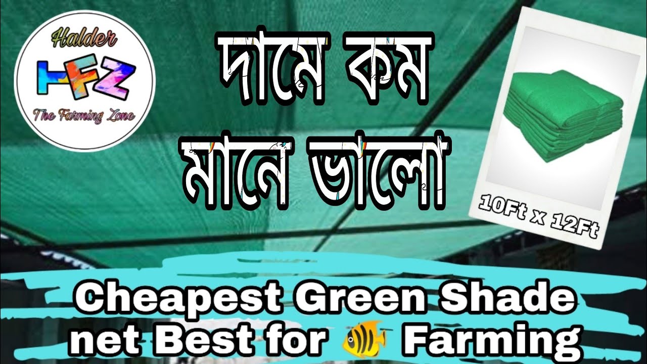 Bottom Clean Fish Farming Shade Setup/Green Shade Net/ Which Height you ...