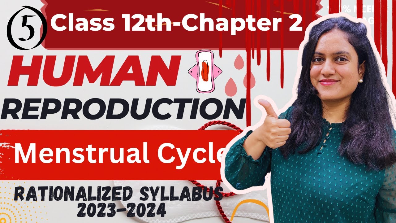Class 12 Biology Human Reproduction | Menstrual Cycle | NCERT one shot ...