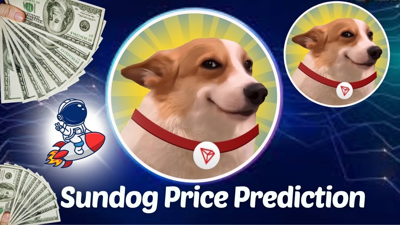 SUNDOG COIN PRICE PREDICTION 2024 | खरीदें या नहीं? क्या करना सही ...