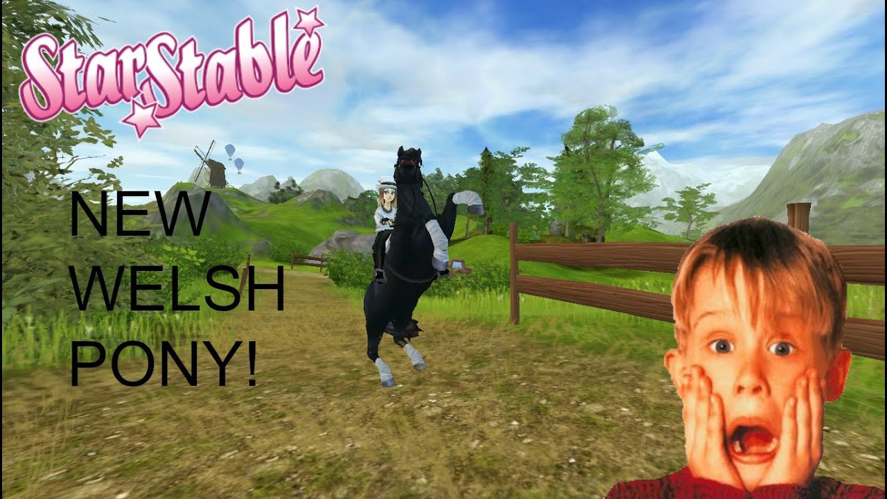 SSO - Buying the new welsh pony! - YouTube