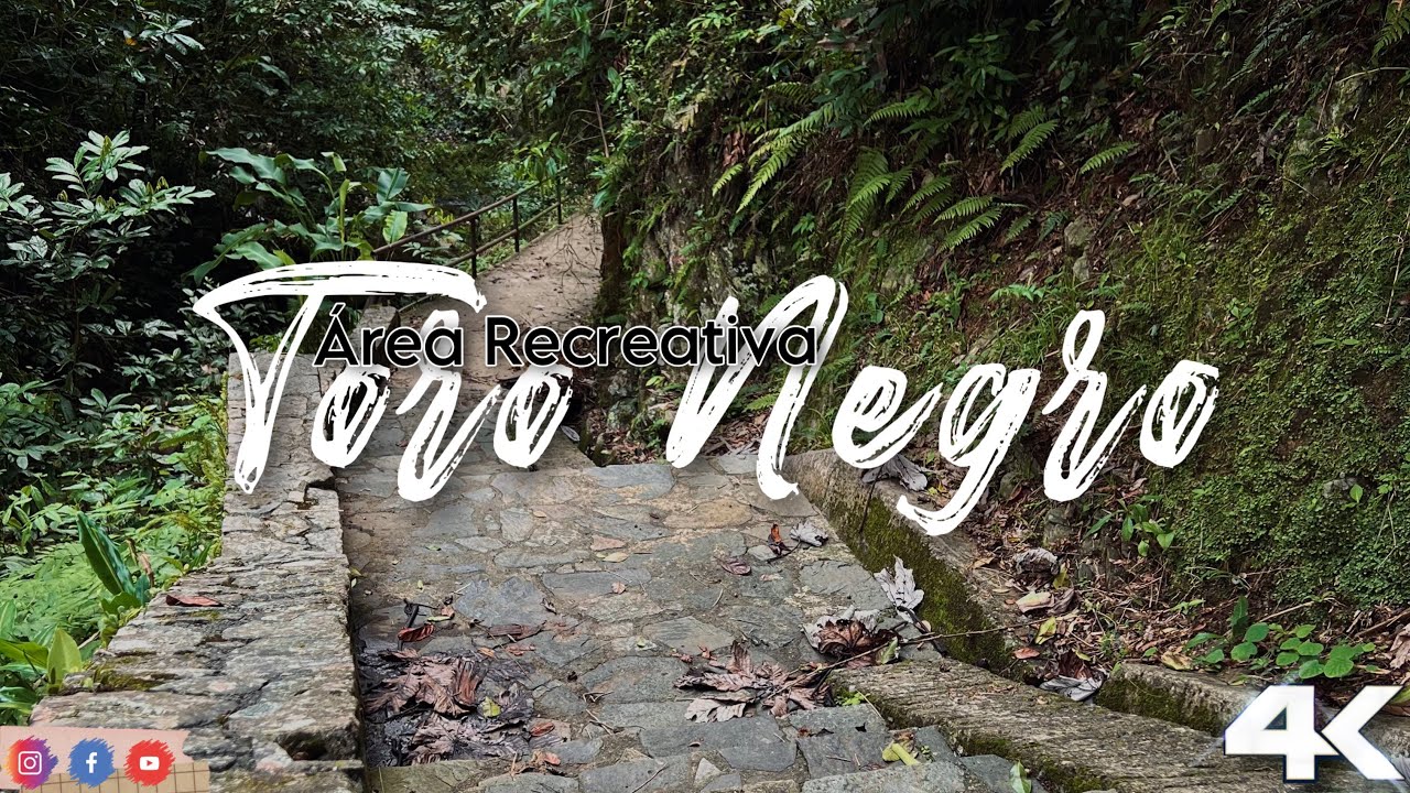 Bosque Estatal Toro Negro (Área Recreativa) | Orocovis Puerto Rico🇵🇷 ...