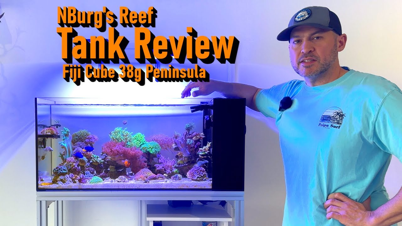Fiji Cube 38 Gallon Peninsula Aquarium Review - YouTube