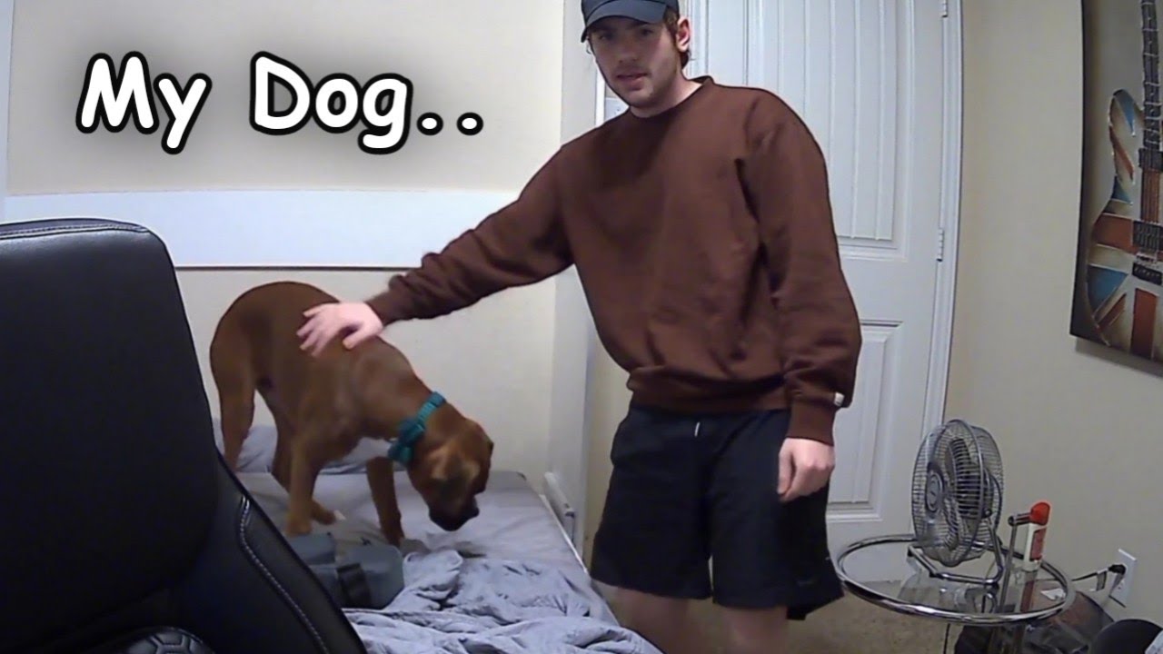 Sapnap and His Dog! - YouTube