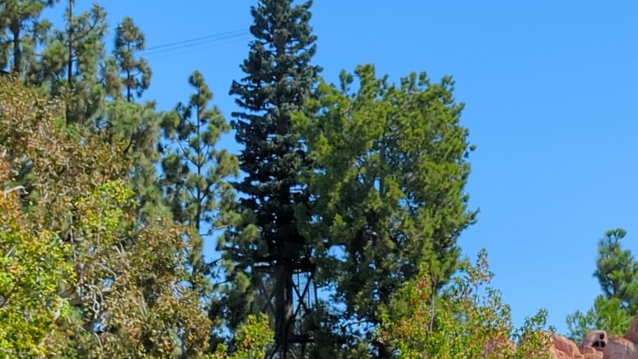 The biggest FAKE tree at Disneyland revealed!! - YouTube