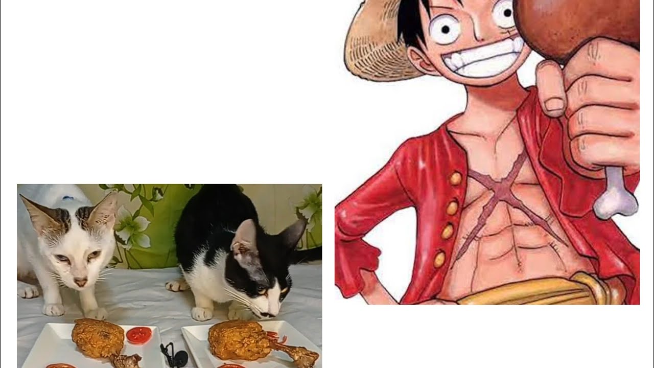 One piece inspired| Luffy's Chicken meat mukbang #onepiece #cats #luffy ...