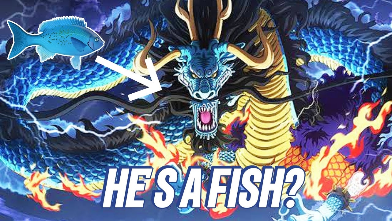 Was Kaido Actually A Fish? - Quickest Answer - YouTube