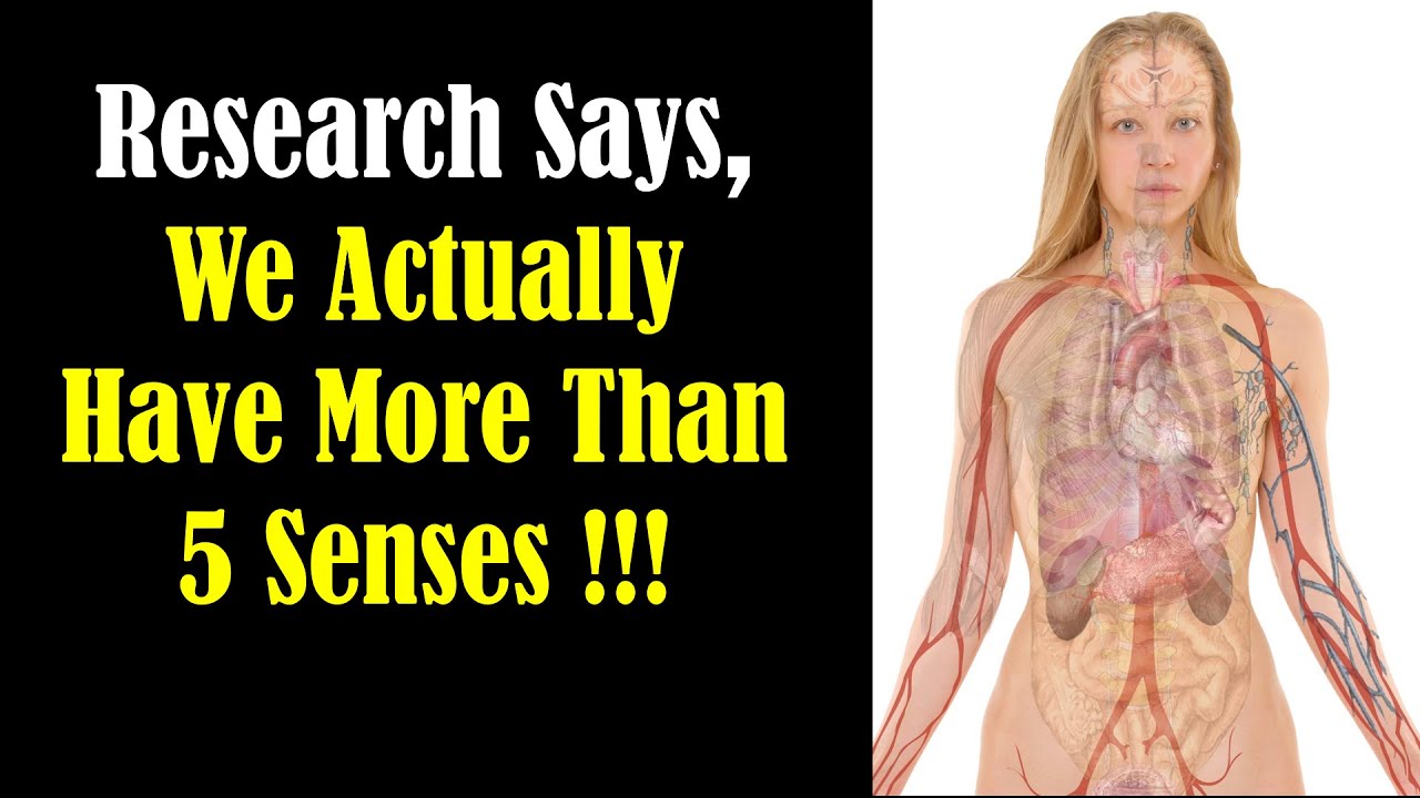 How Many Senses Do We Have Do We Have More Than 5 Senses 5 Sense How Many Senses Do We Have Do We Have More Than 5 Senses 5 Sense