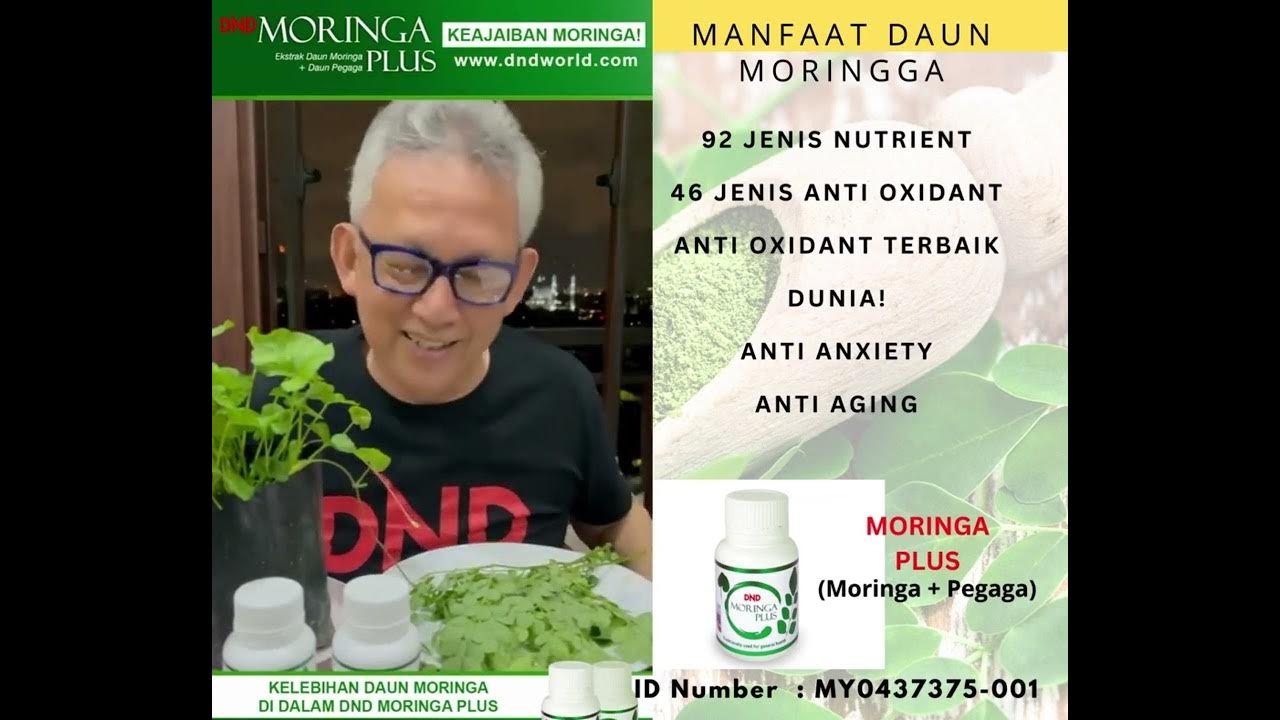 Kelebihan DND Moringa Plus dan Kajian Saintifik - YouTube