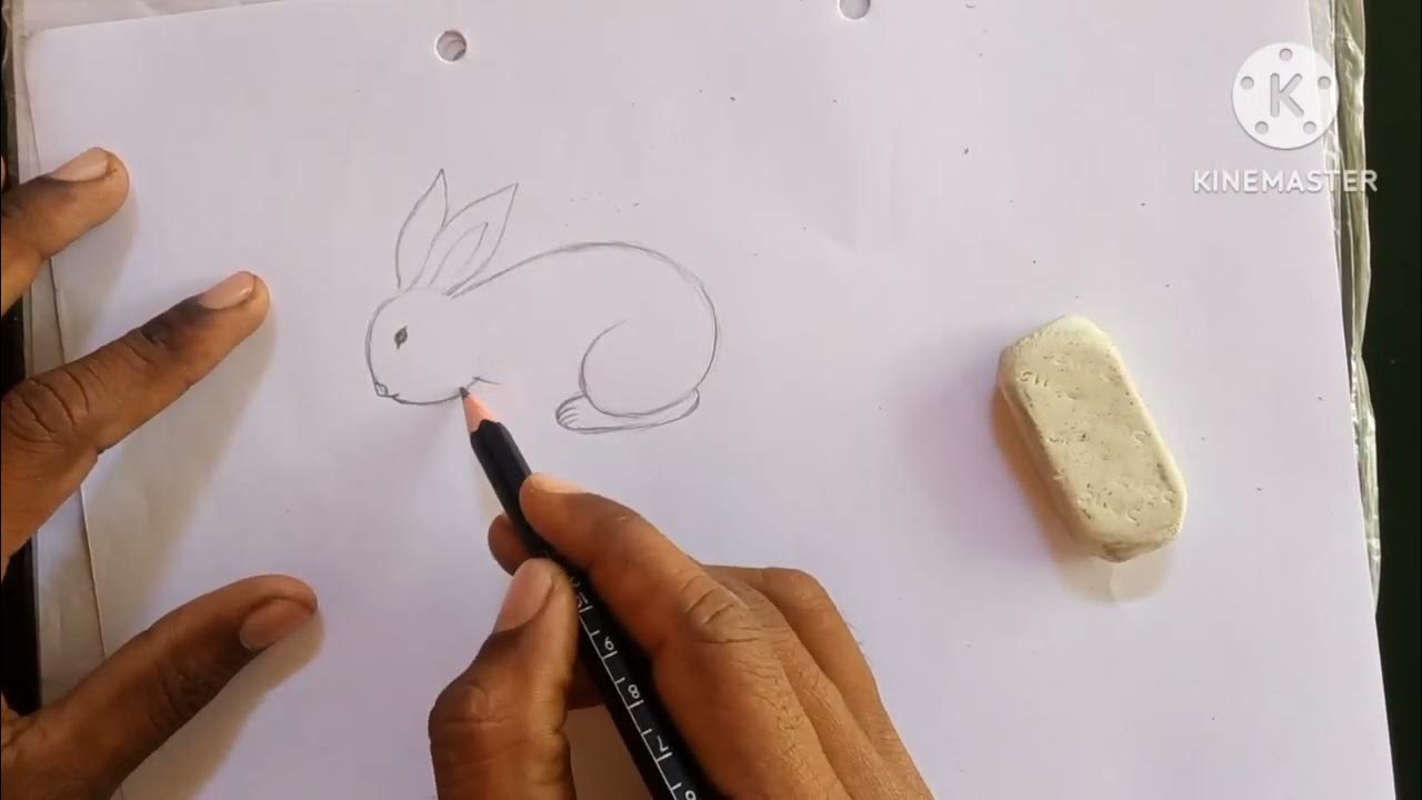 How to draw a rabbit | खरगोश का चित्र कैसे बनाएं। - YouTube
