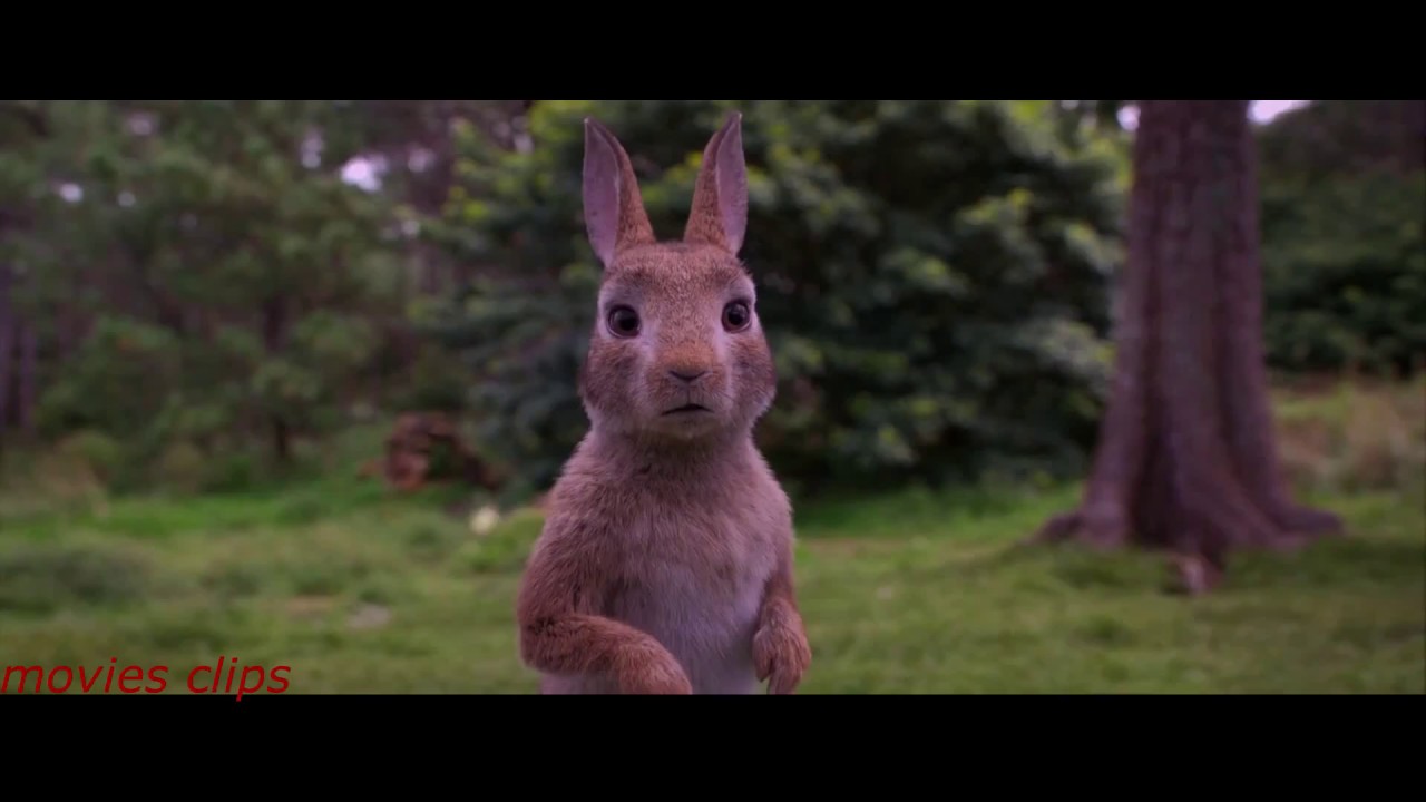 Peter Rabbit 2018 - Peter getting back his jacket [3/13] - YouTube