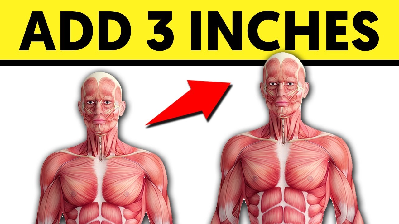 I Added 3 Inches To My Height With This Routine - YouTube