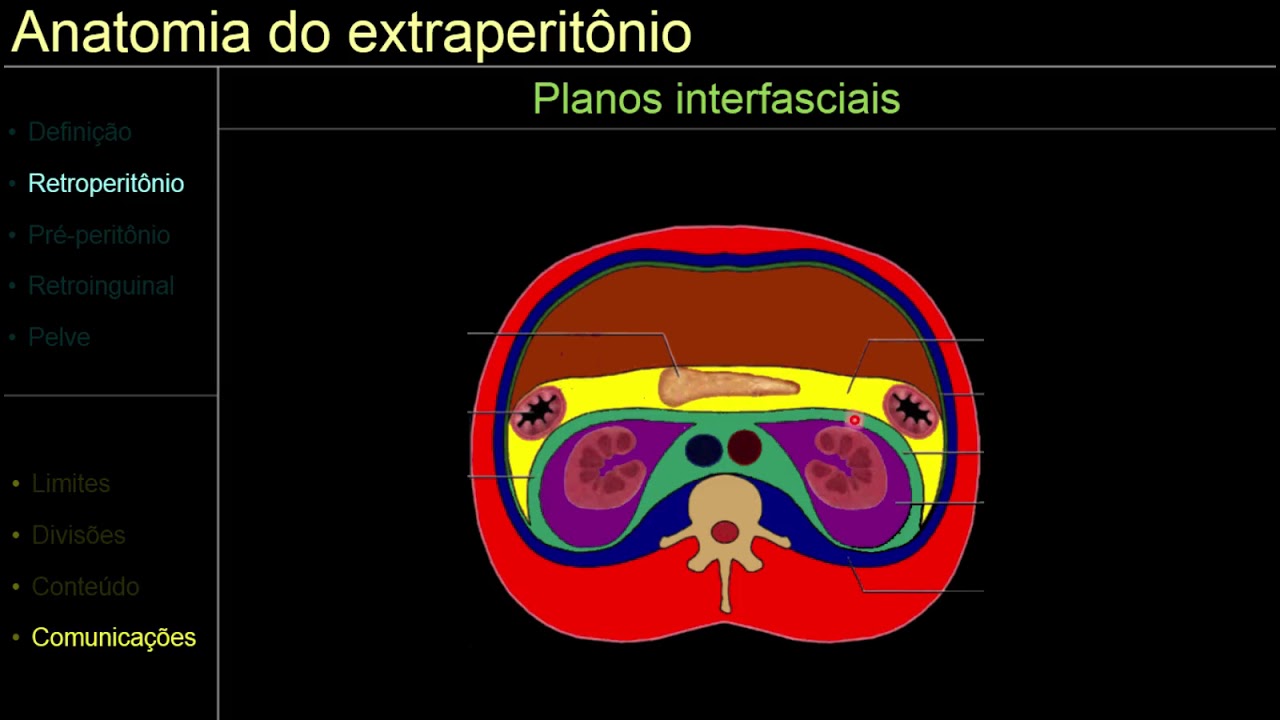 Anatomia retroperitoneal. - YouTube