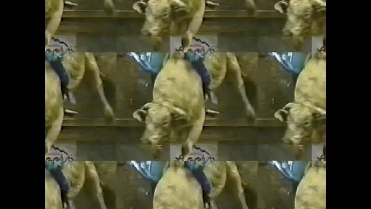 bodacious - the master of disaster (vhs, 1996) - YouTube