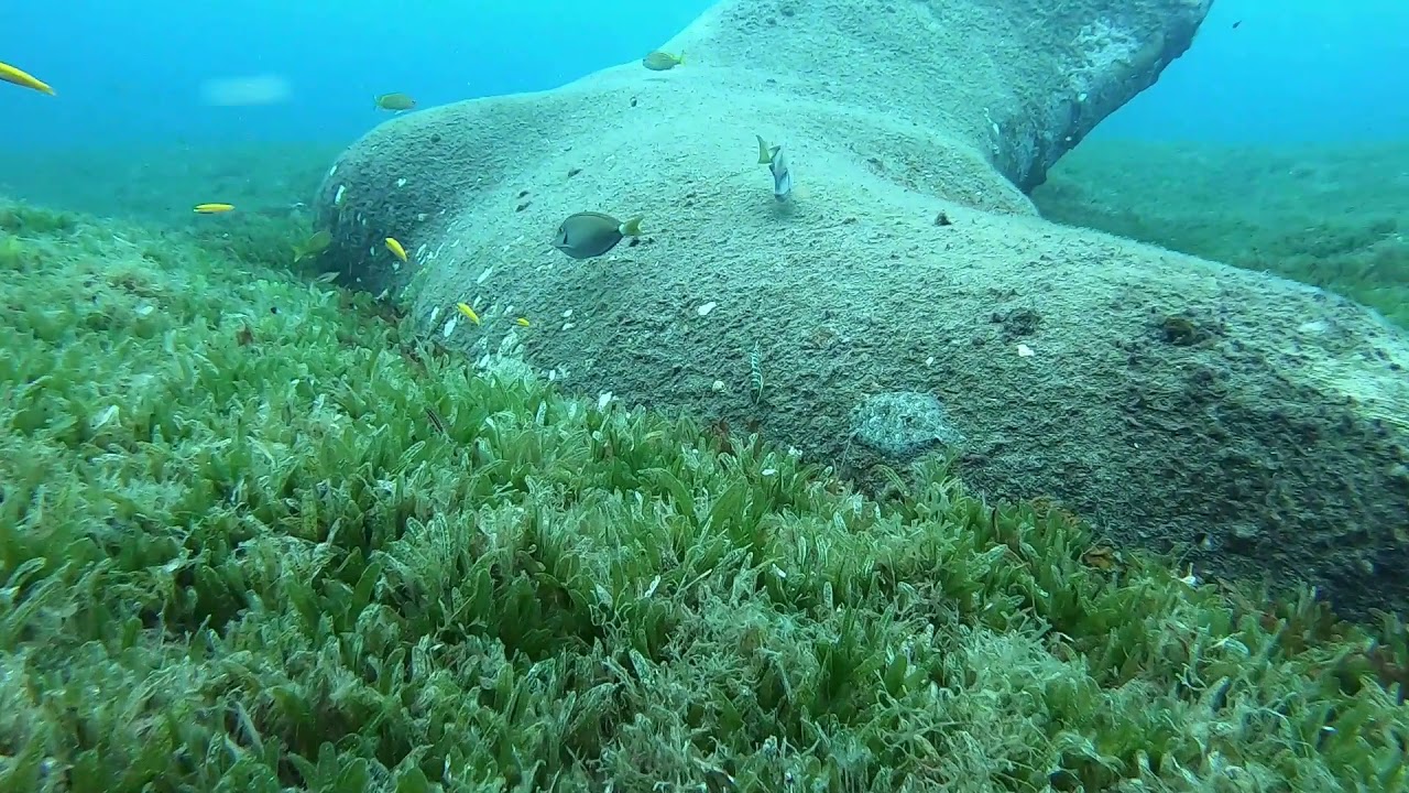 Manman dlo - YouTube