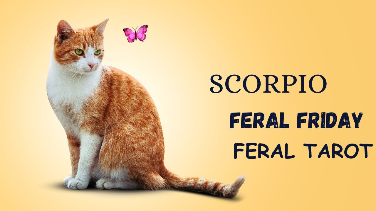 Scorpio Feral Friday - YouTube