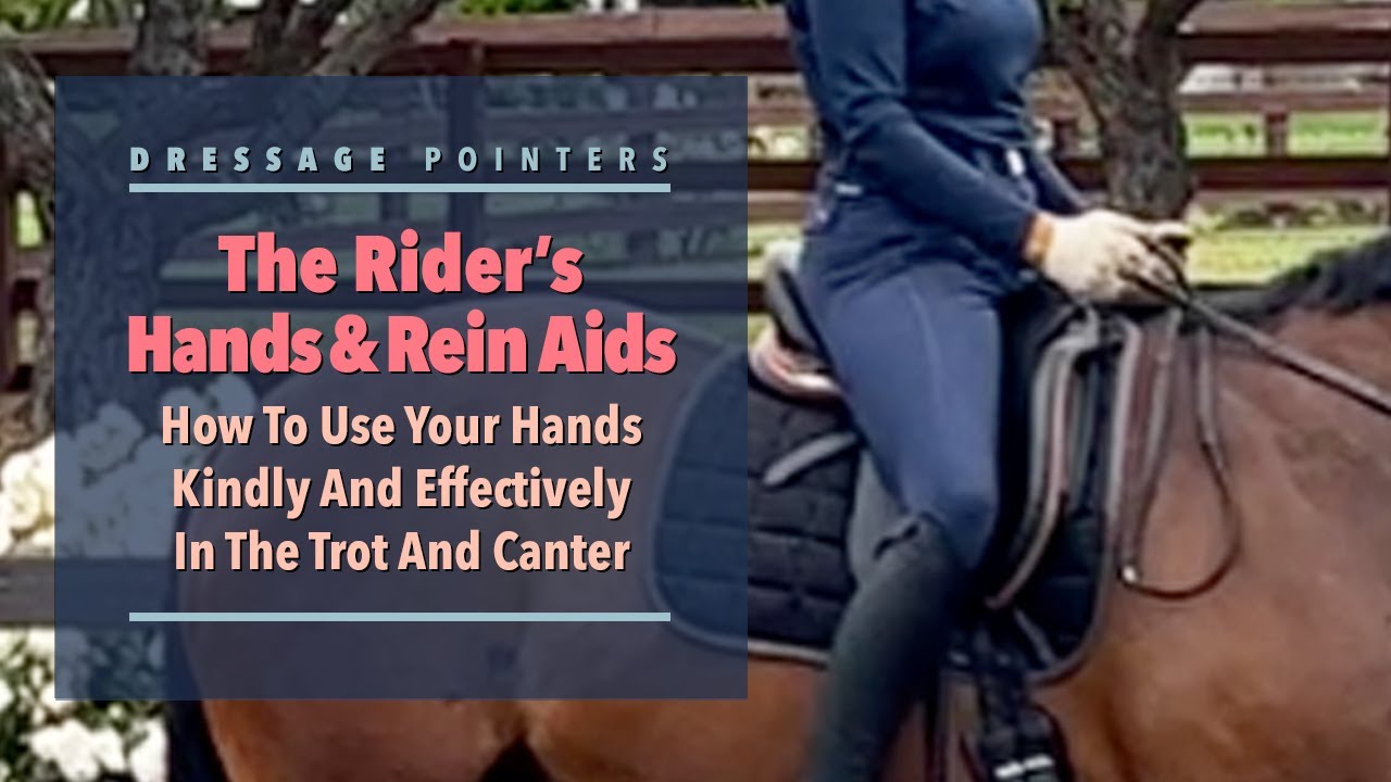The Rider’s Hands & Rein Aids: How To Use Your Hands Kindly and ...