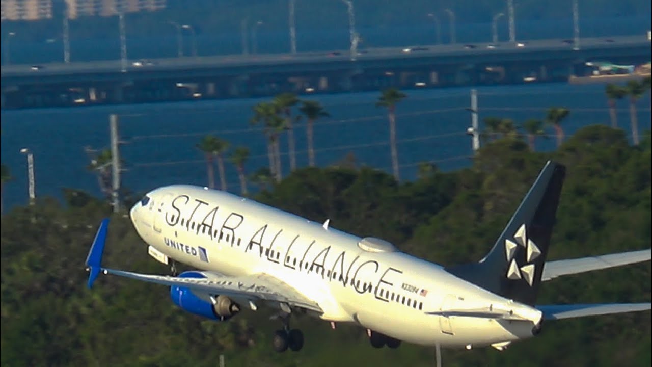 Birds on Runway UPS A300 Plane Spotting TPA - YouTube