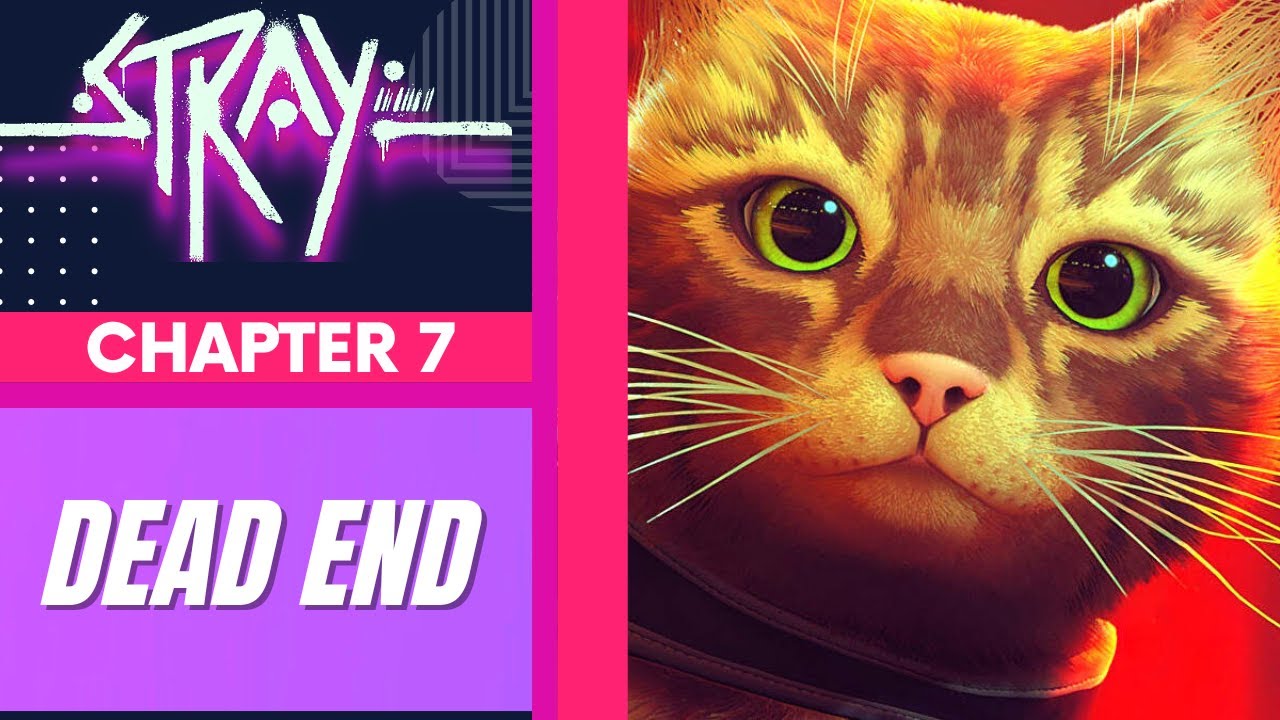 STRAY - Dead End | Chapter 7 | PC 1080p | Gameplay | - YouTube