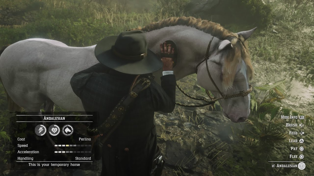 Red Dead Redemption 2 - Taming the Perlino Andalusian Horse - YouTube