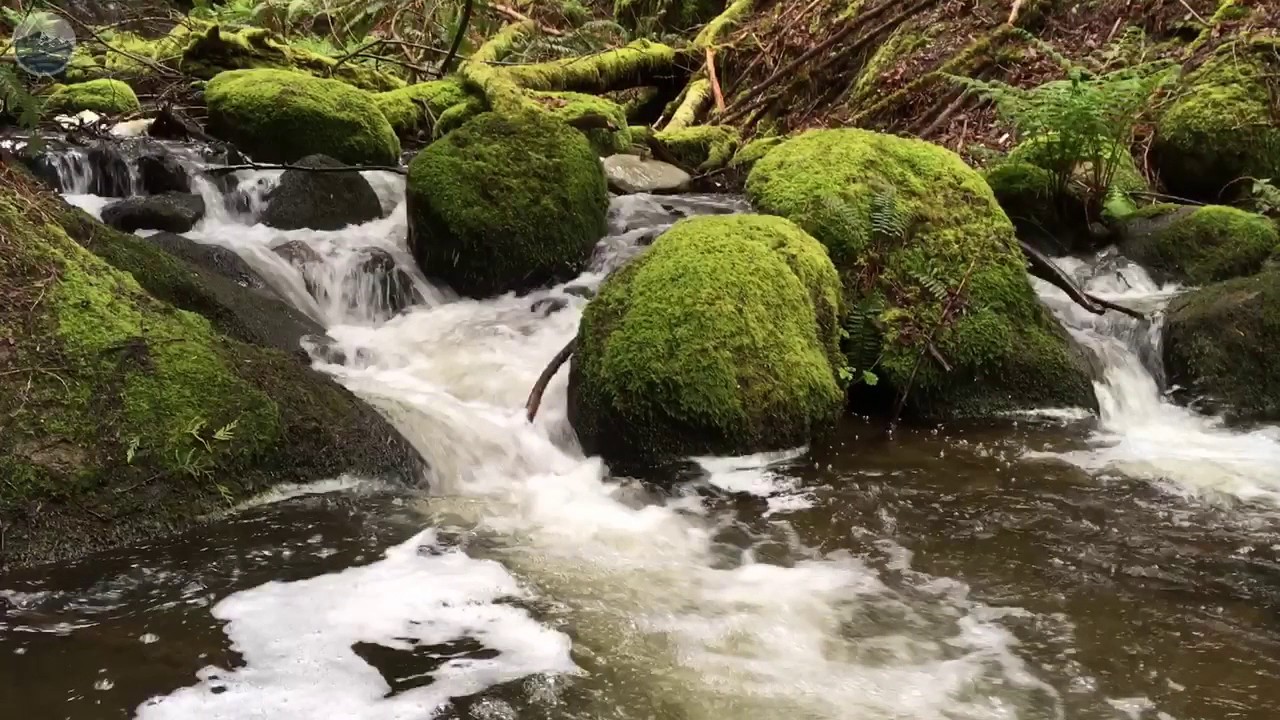 Where are the best waterfalls in Whatcom County? - YouTube