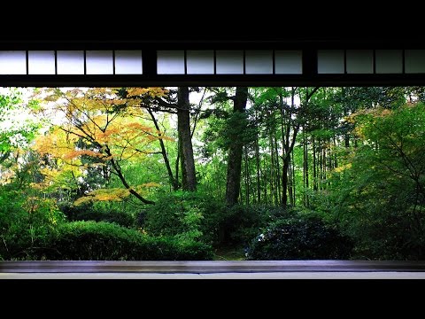 1 HOUR Japanese Temple Bell Sound At 'Hondo' for Relaxing ,Healing And Zen
