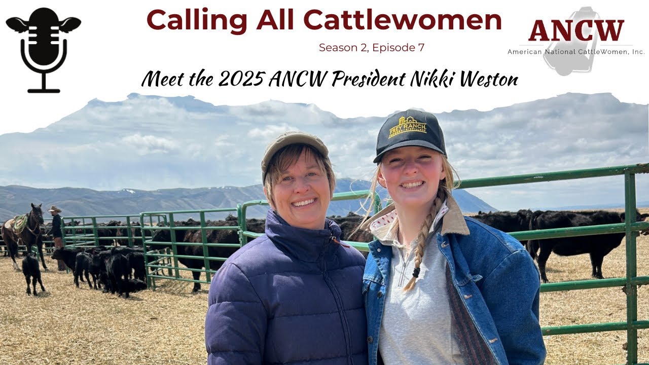 Meet the 2025 ANCW President Nikki Weston - YouTube