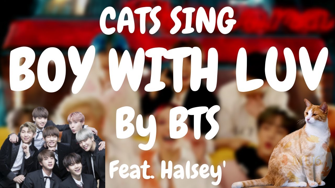 Cats Sing BTS Boy With Luv (K-POP) | Cats Singing Song - YouTube