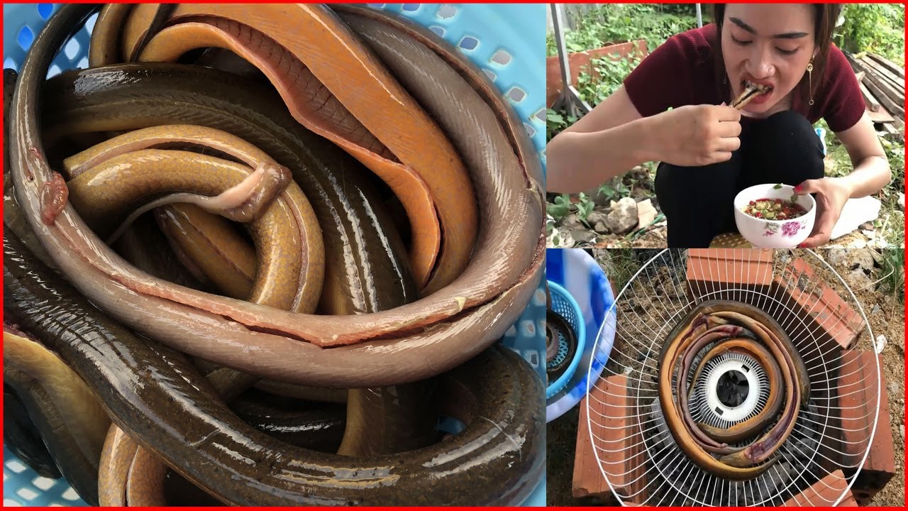 Amazing eel food,Roasted natural eel,How to cook eel,អន្ទង់អាំងធម្មជាតិ ...