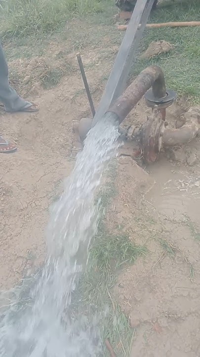 YouTube video new escort tractor with 4x3 water pump dhan ki khet me #video #youtubeshorts - YouTube