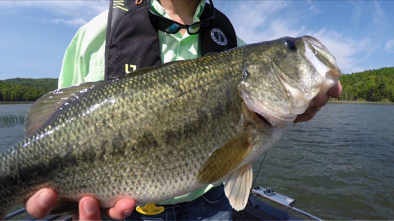 PASSION PLEIN AIR, LES ACHIGANS DU VERMONT EN DÉBUT DE SAISON. - YouTube