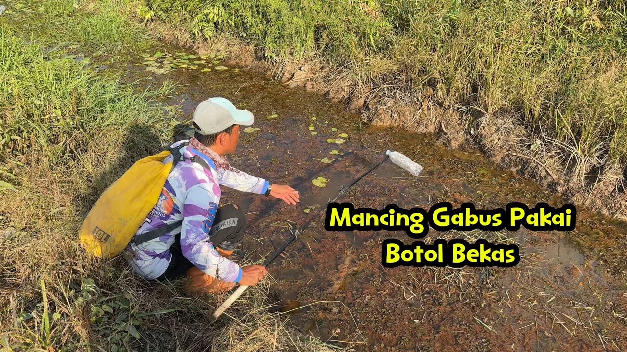 Mancing Gabus Pakai Botol Bekas - YouTube