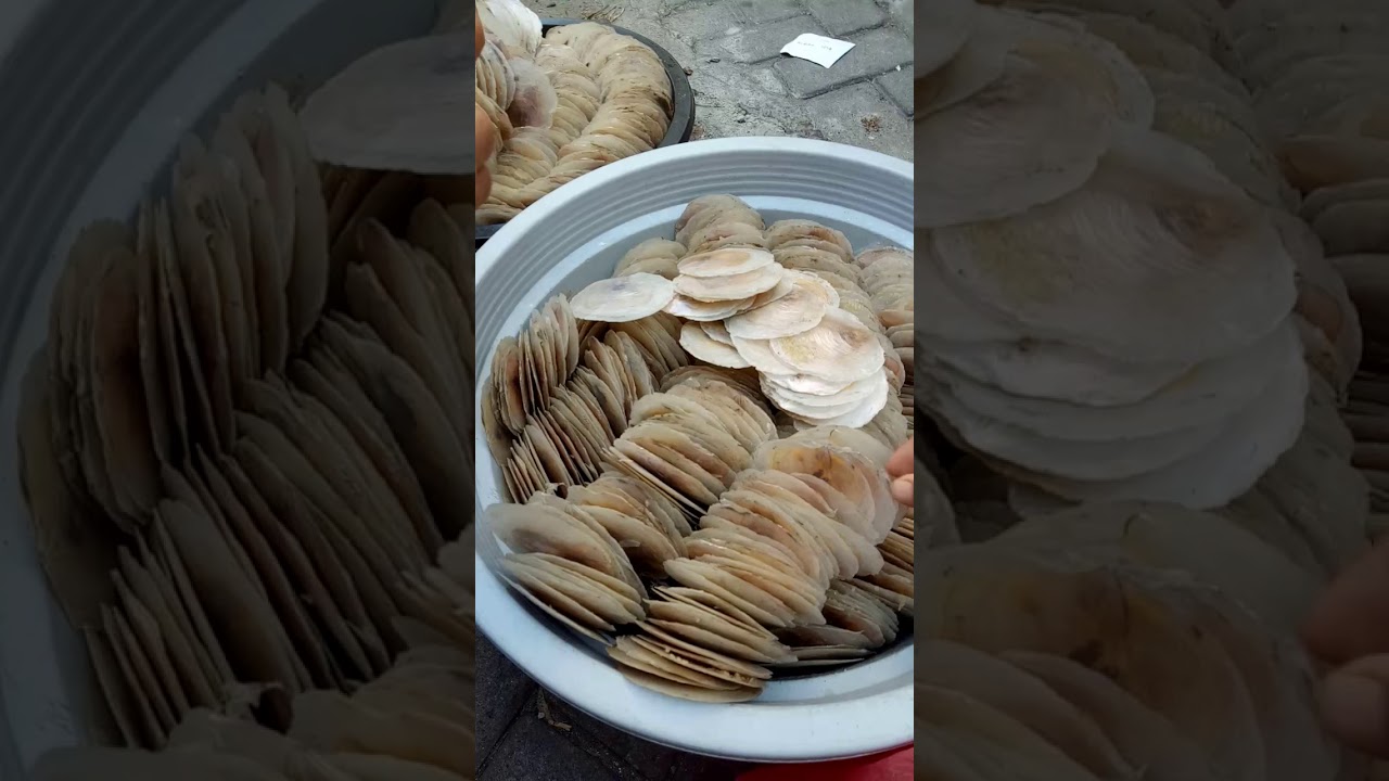 Kerang SEMPENG KHAS GRESIK 👉POPULER SEPANJANG MASA - YouTube