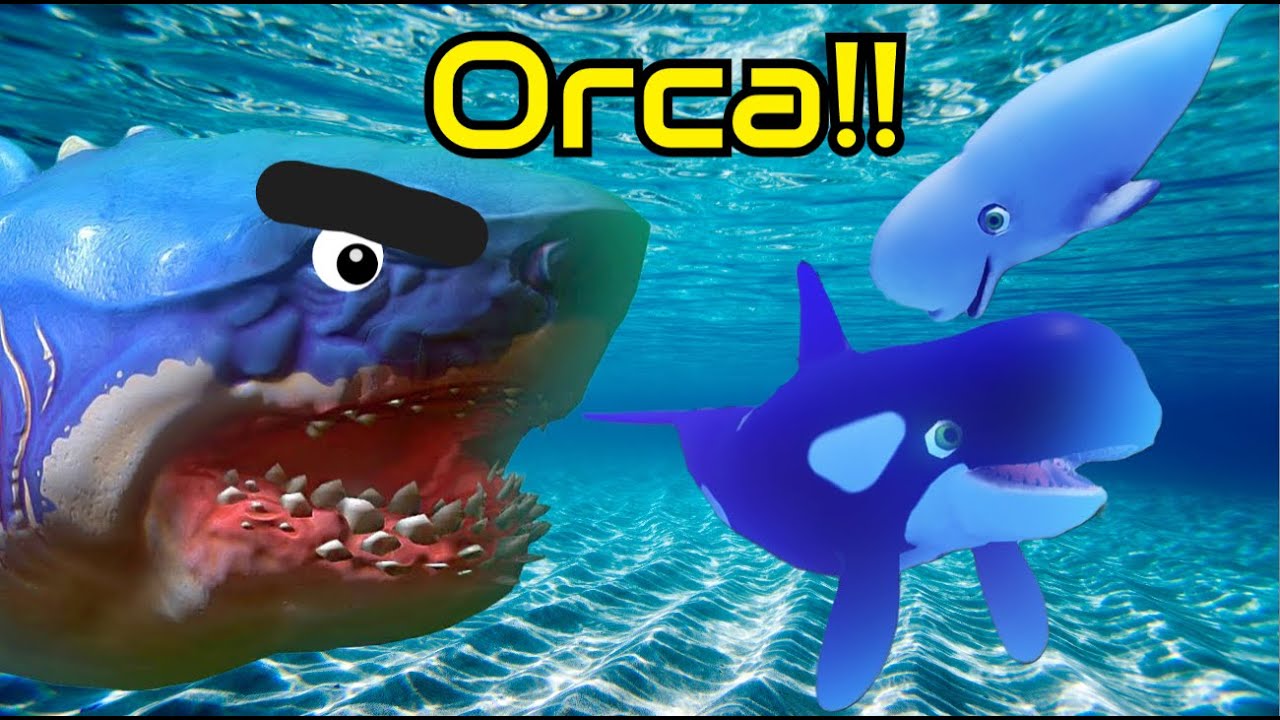 The Mega Killer Whale - YouTube