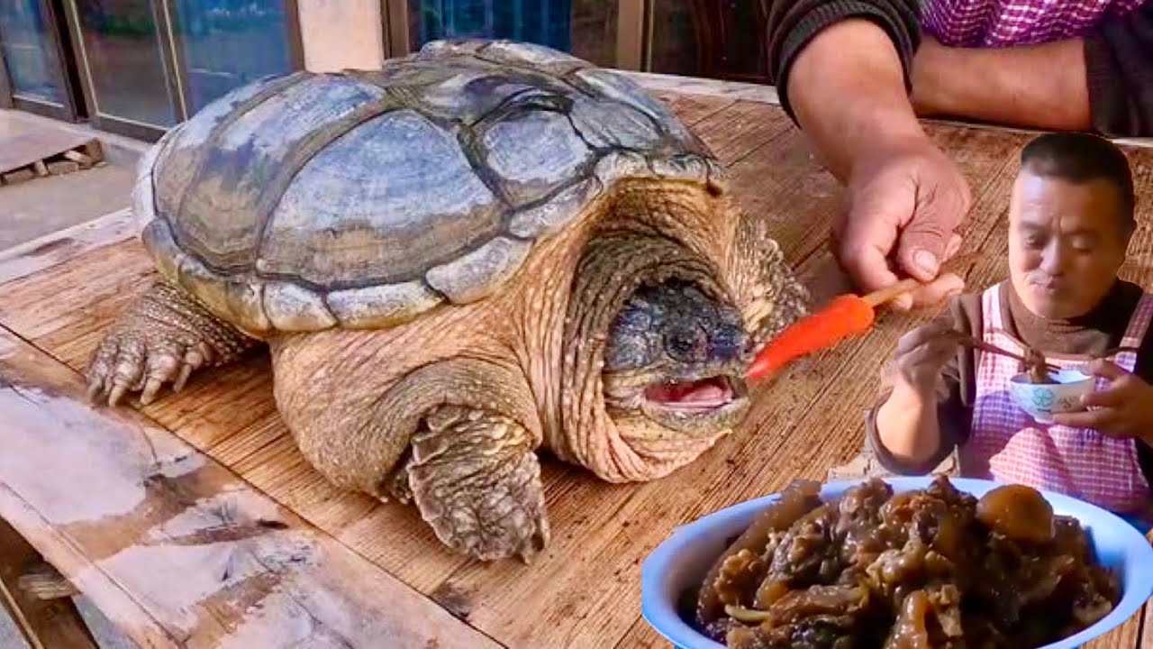 Buy a snapping turtle, put it in an iron pot and stew it for 1 hour ...