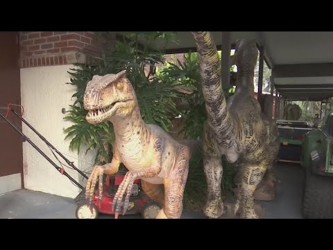 Thieves steal $6k dinosaur from Florida exhibit - YouTube