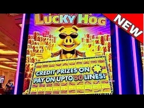 Ryan Richard Slots "Lucky Hog Slot Machine" at Potawatomi Hotel ...