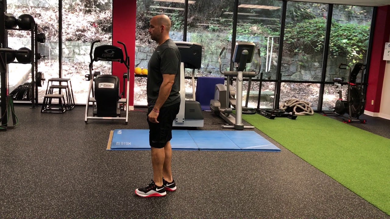 Bodyweight Reverse Lunge - YouTube