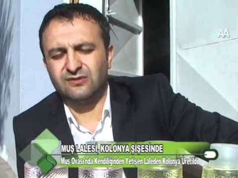 Muş Lalesi kolonya şişesinde
