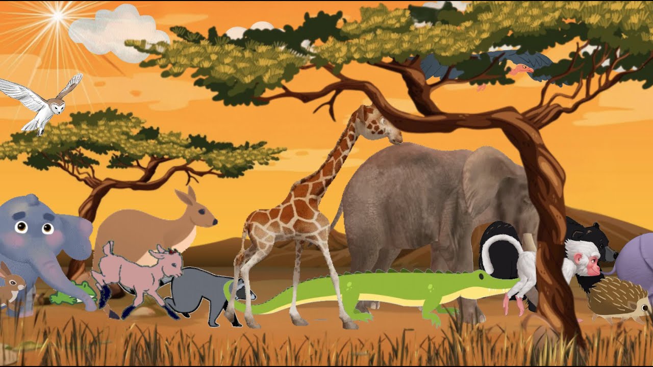 Safari Animal Sounds Song 🎶 Savanna Adventure 🐾 Kids Song & Nursery ...
