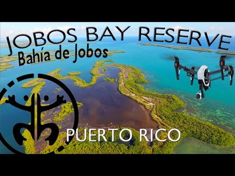 JOBOS BAY ~ Bahía de Jobos ~ Puerto Rico~ Best Caribbean Drone Footage ...
