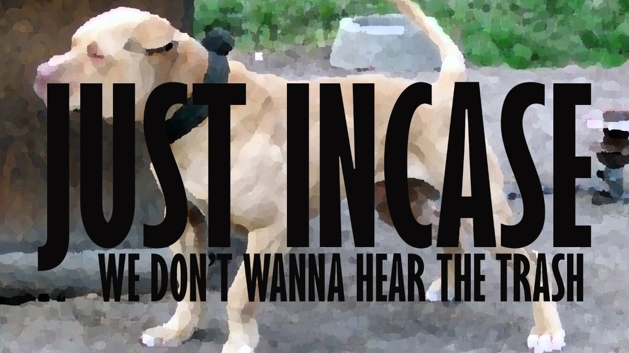 REAL GAME DOG TALK APBT - YouTube